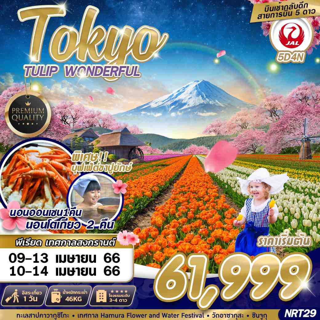NRT29 : Tokyo Tulip Wonderful 5 วัน 4 คืน - Public Holiday